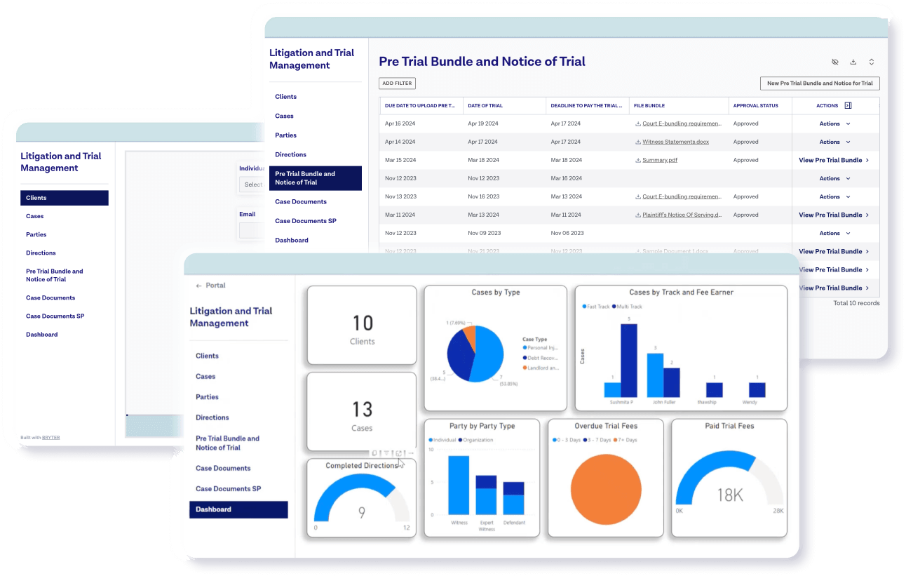 Litigation Management - BRYTER